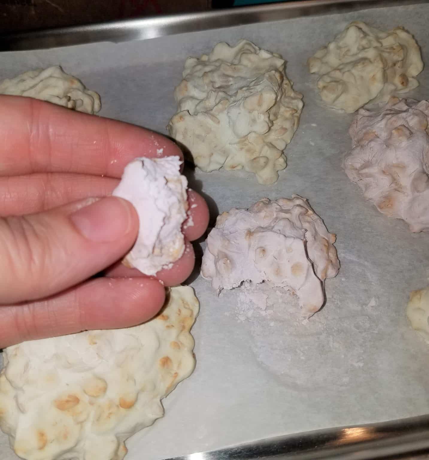 Freeze Dried Yogurt Bites - Freeze Drying Mama